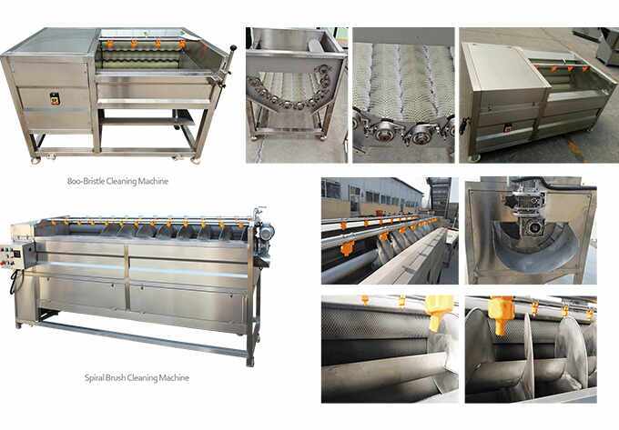 Potato Brush Peeling Machine-Henan Hanwell Machinery Co., Ltd.